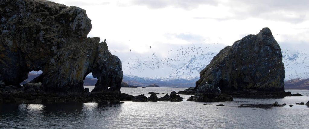 Old Harbor Native Corporation