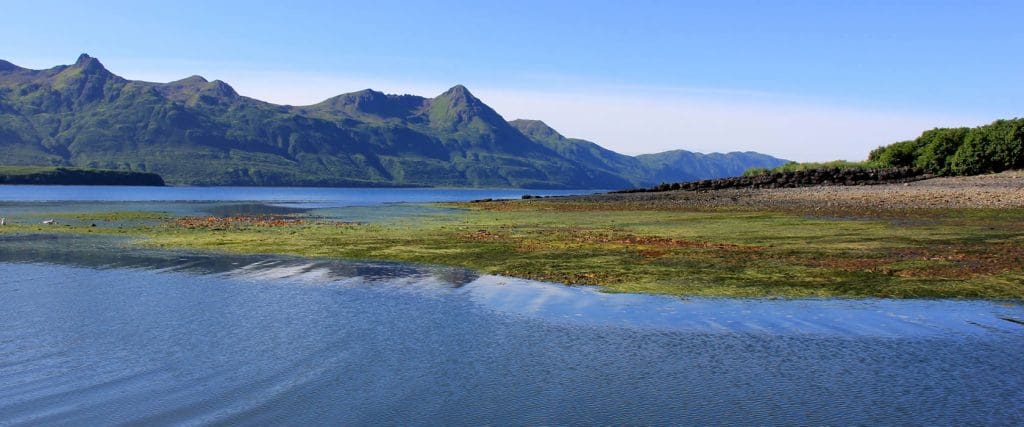 Old Harbor Native Corporation