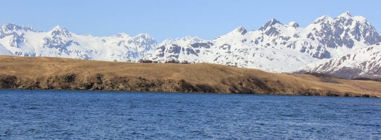 Company | Old Harbor Native Corporation